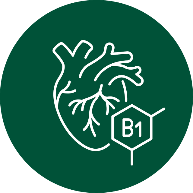 Gemberrijst met vis, gamba's en groene groenten | Uitgekookt