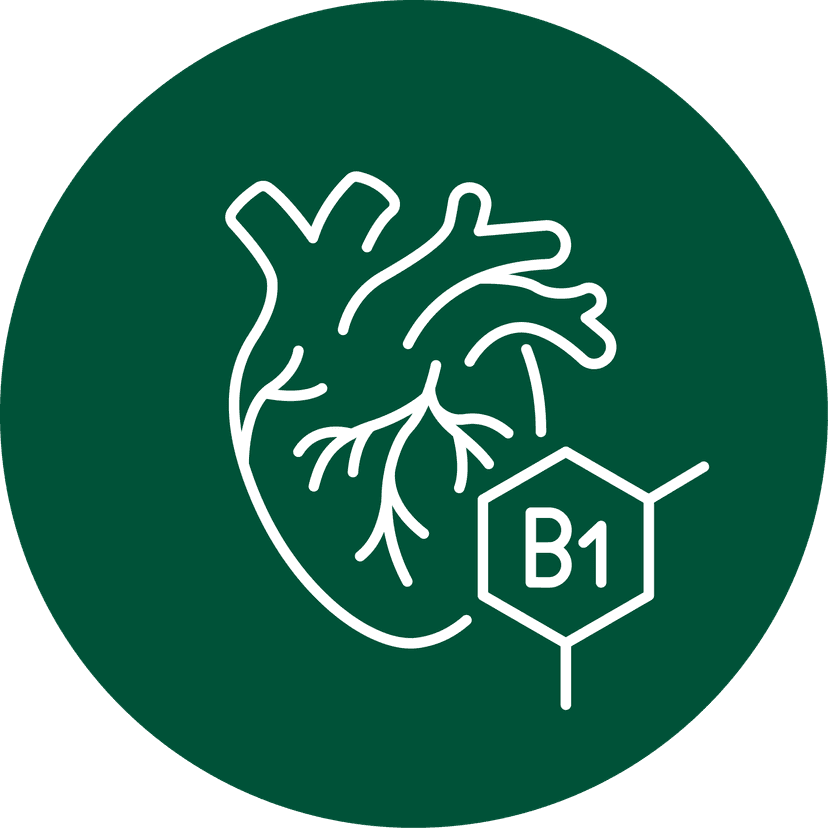 Gemberrijst met vis, gamba's en groene groenten | Uitgekookt