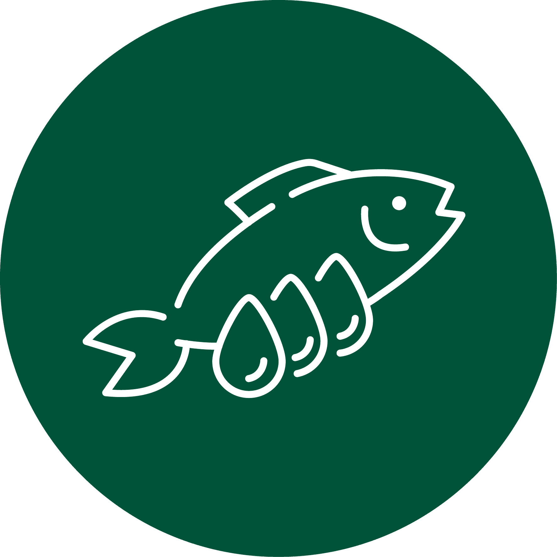 Maaltijdsalade-bowl met zalm en edamame boontjes | Uitgekookt